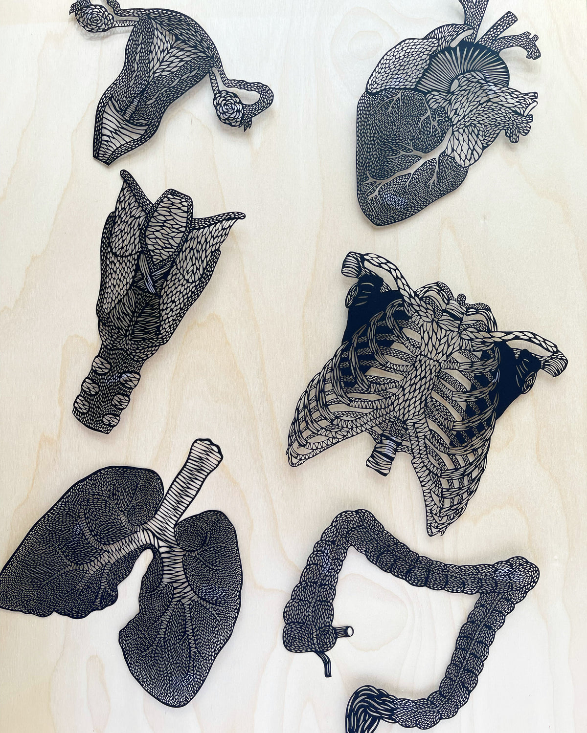 Stuff | Light + Paper