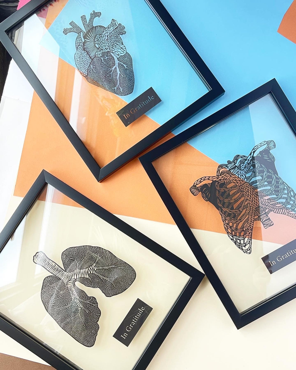 Inspo + Ideas: Displaying a Papercutting in a Floating Frame | Light ...