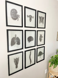 Anatomical Uterus/Ovaries Papercutting Artwork | Light + Paper