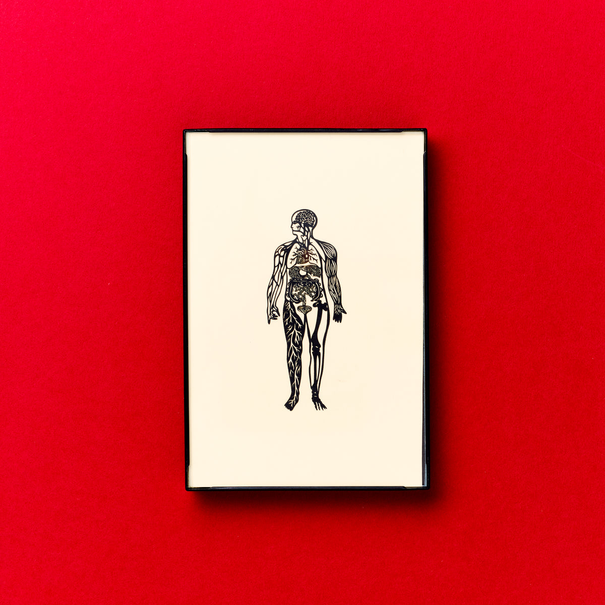 Mini Anatomical Full Body Family Medicine Papercutting Artwork | Light ...