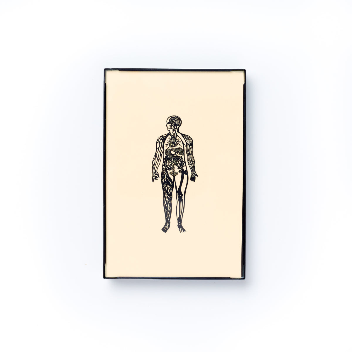 Mini Anatomical Full Body Family Medicine Papercutting Artwork | Light ...