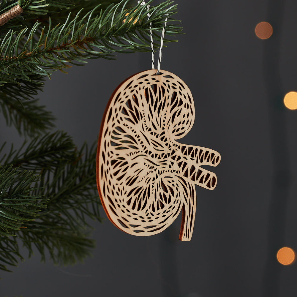 Kidney Anatomy Ornament | Light + Paper