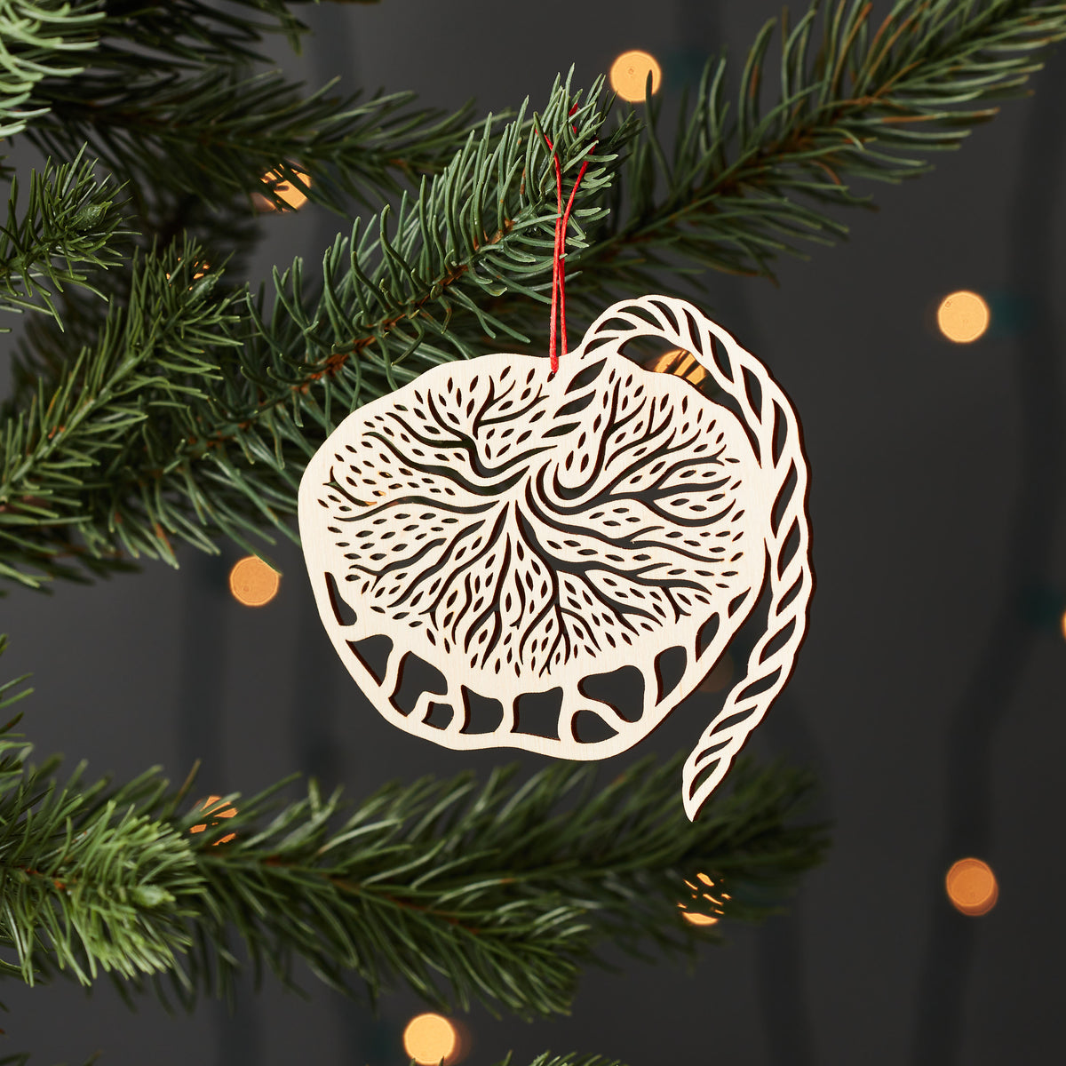 Placenta Anatomy Ornament | Light + Paper