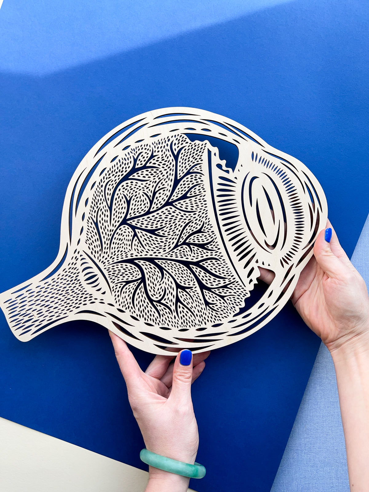 Anatomical Eyeball Wooden Artwork | Light + Paper