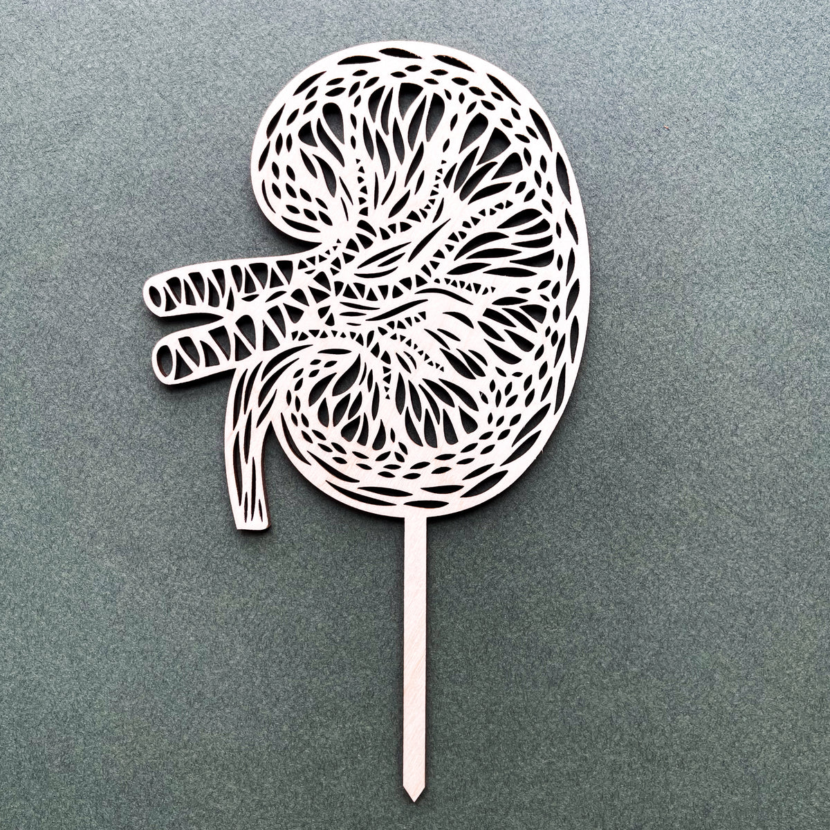 Anatomical Kidney Cake Topper | Light + Paper