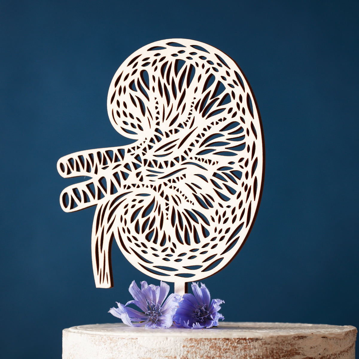 Anatomical Kidney Cake Topper | Light + Paper