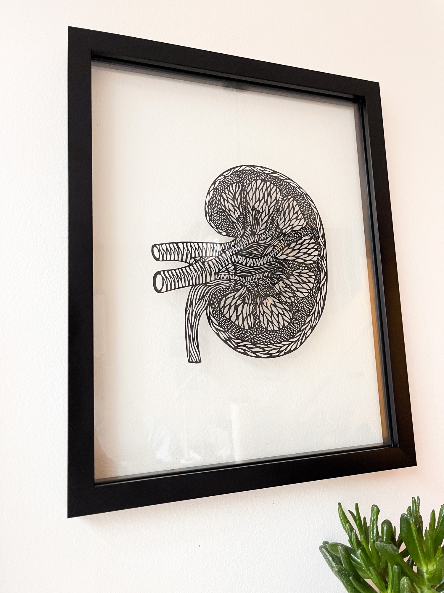 Anatomical Kidney Papercutting Artwork | Light + Paper
