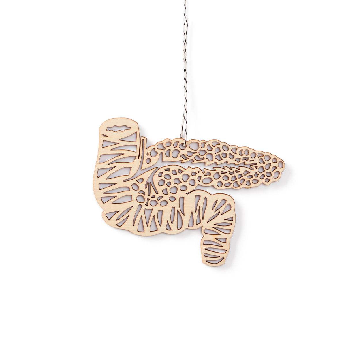 Pancreas Anatomy Ornament | Light + Paper