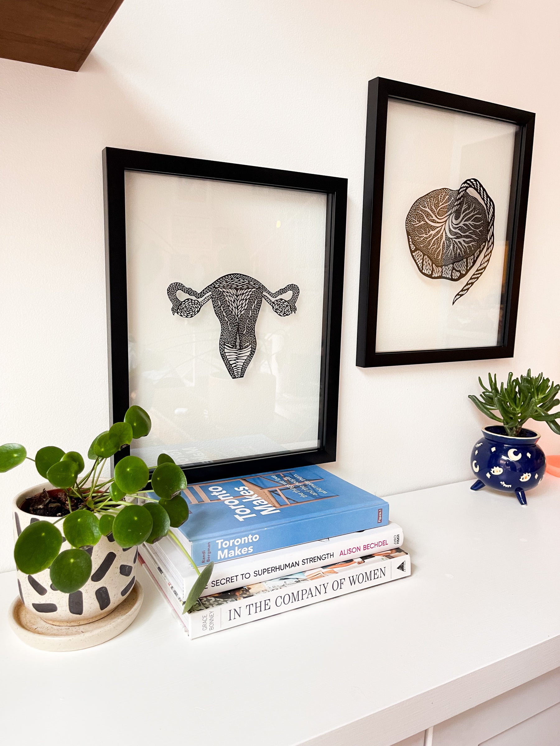 Anatomical Uterus/Ovaries Papercutting Artwork | Light + Paper