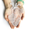 Anatomical Heart Papercutting Artwork | Light + Paper