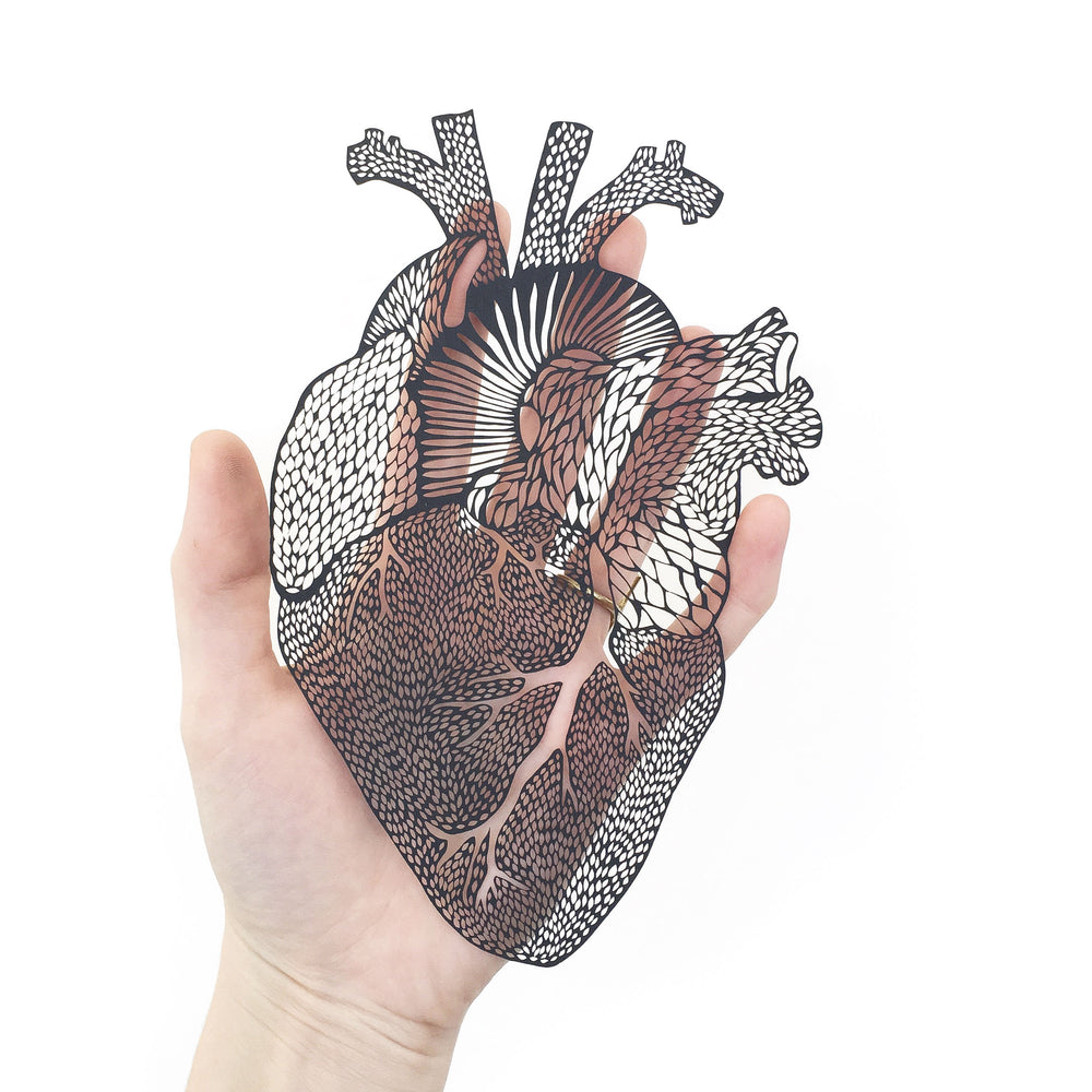 Anatomical Heart Papercutting Artwork | Light + Paper