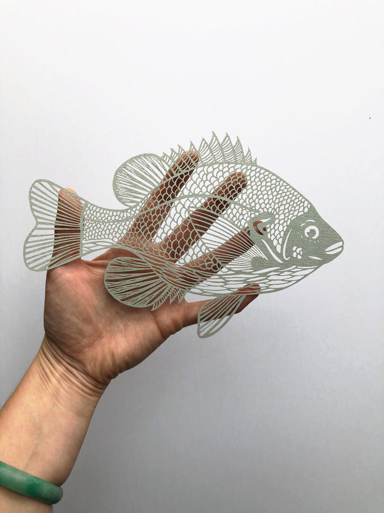 Sunfish Papercutting Artwork | Light + Paper