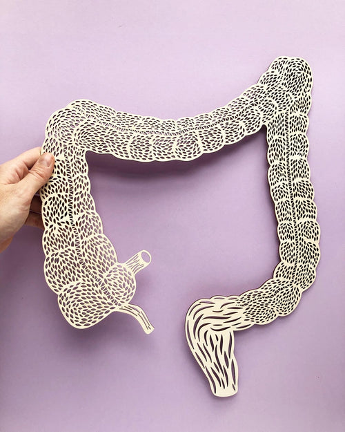 Everything Else | Light + Paper