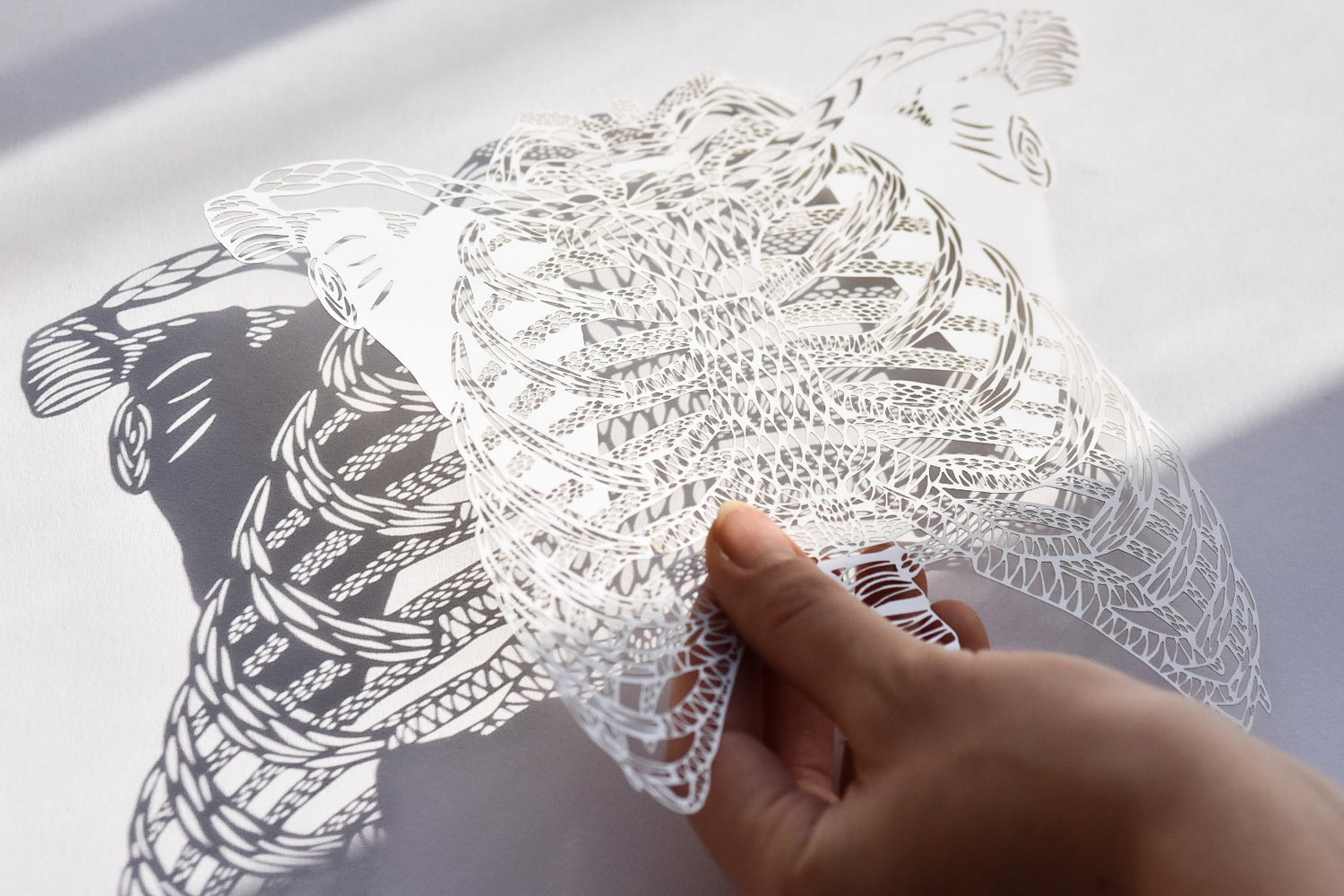 Anatomical Ribcage Papercutting Artwork | Light + Paper