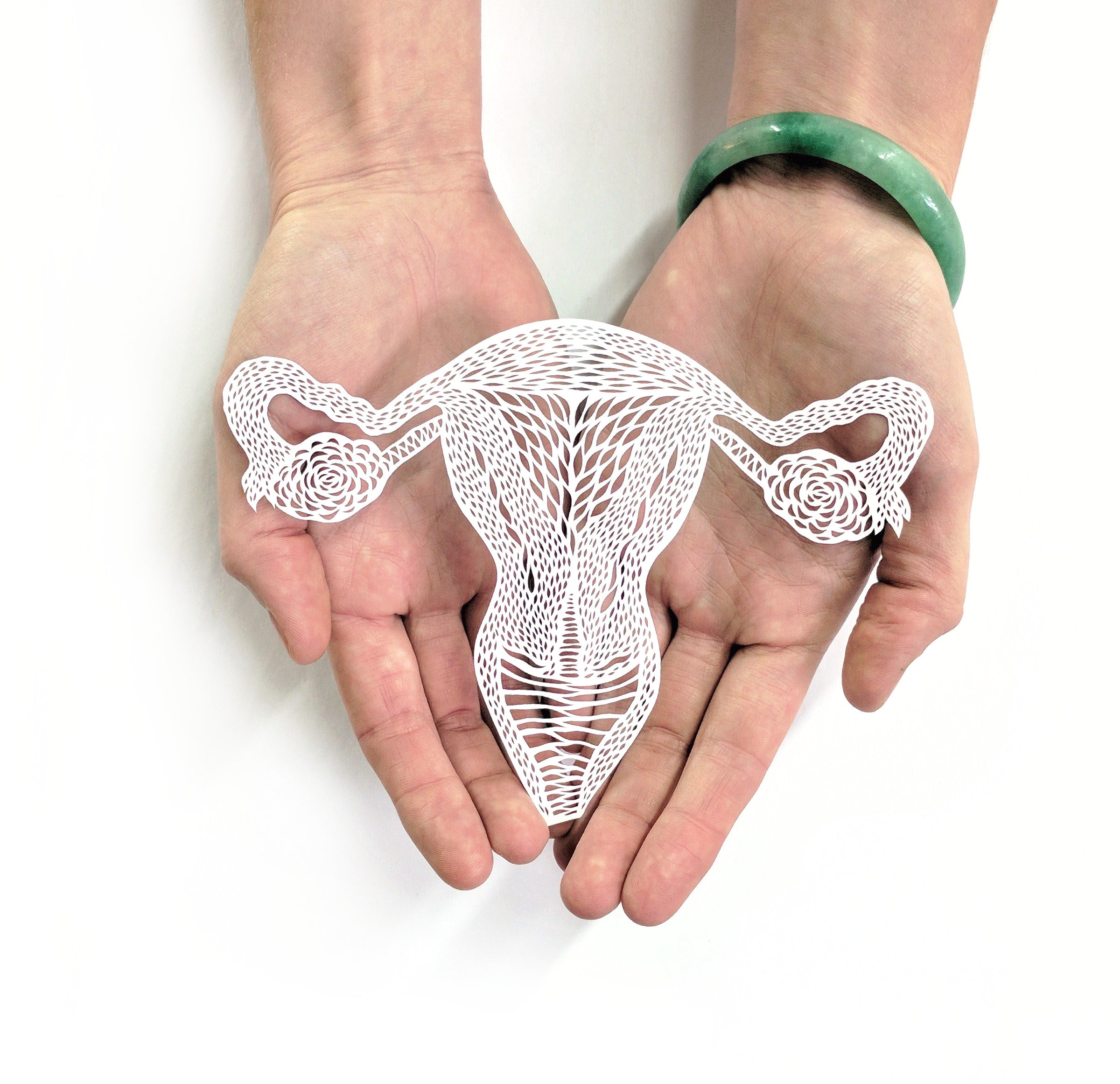 Anatomical Uterus/Ovaries Papercutting Artwork | Light + Paper