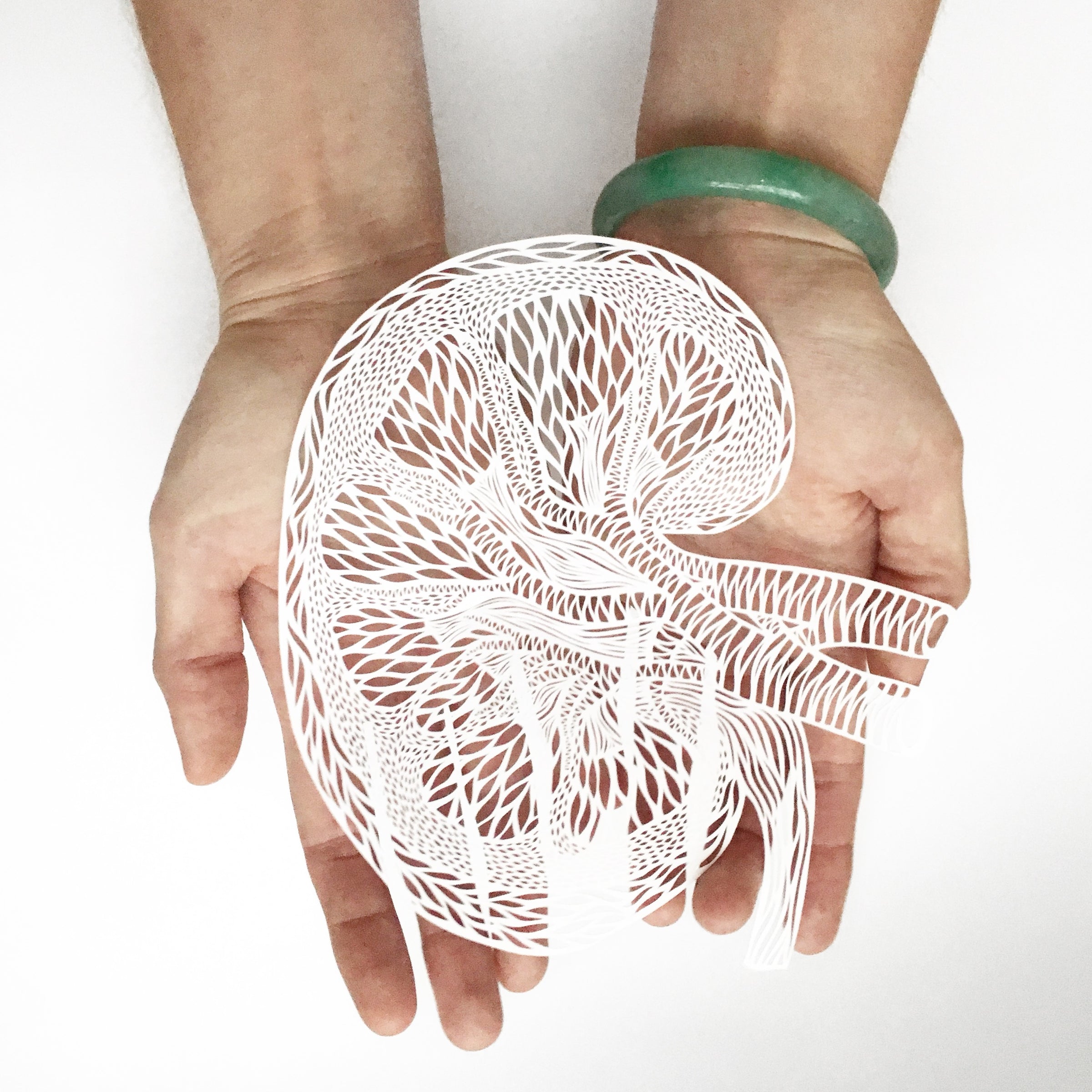 Anatomical Kidney Papercutting Artwork | Light + Paper