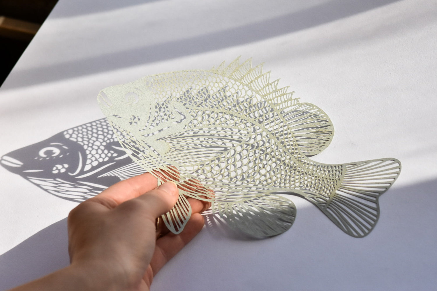 Sunfish Papercutting Artwork | Light + Paper